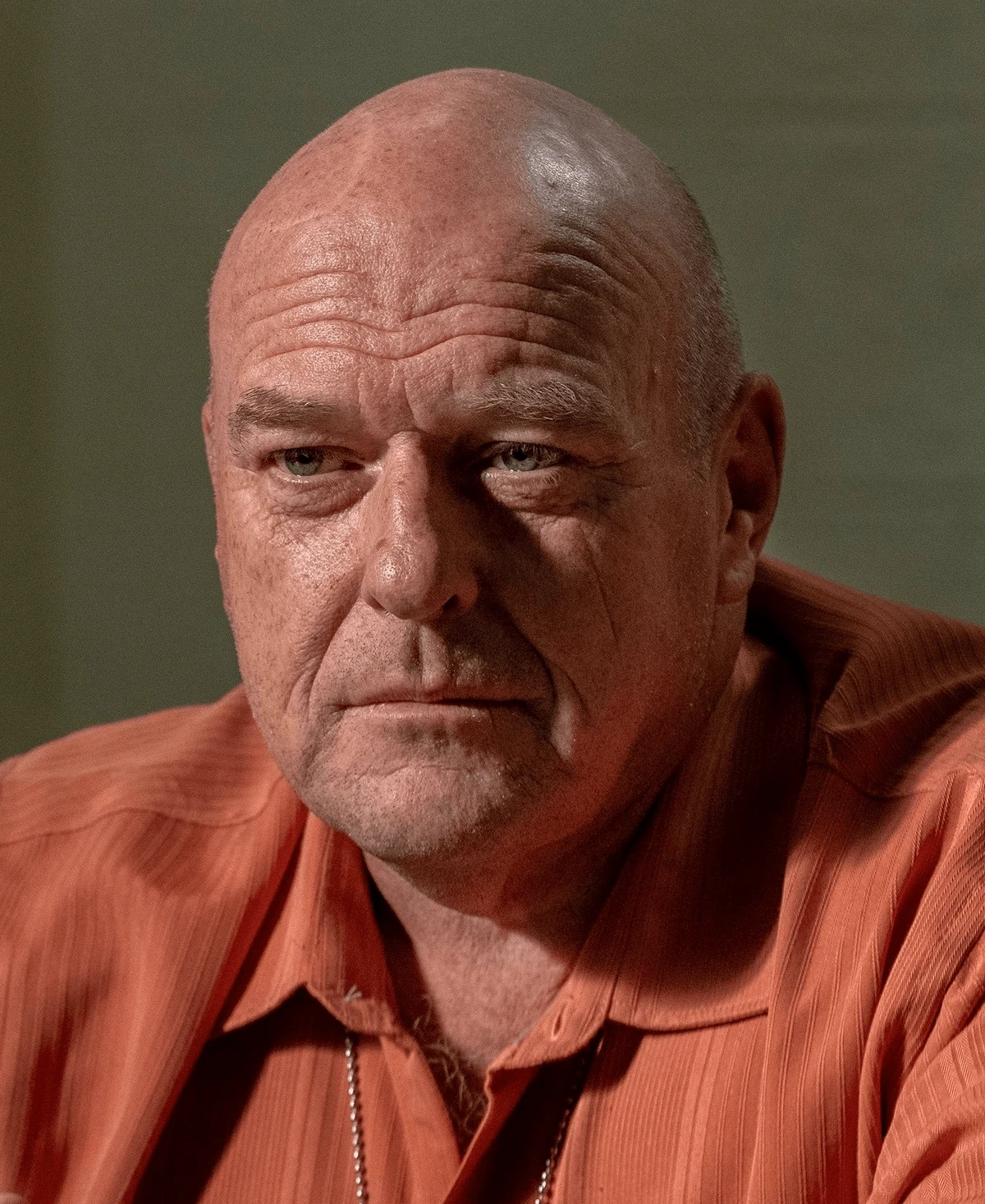 Hank Schrader | Wikia Hitler Parody ES | Fandom