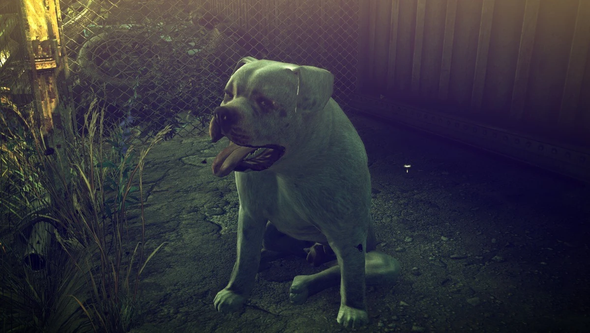 Flash (Absolution) | Hitman Wiki | Fandom