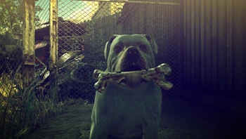 Dog (Animal) | Hitman Wiki | Fandom