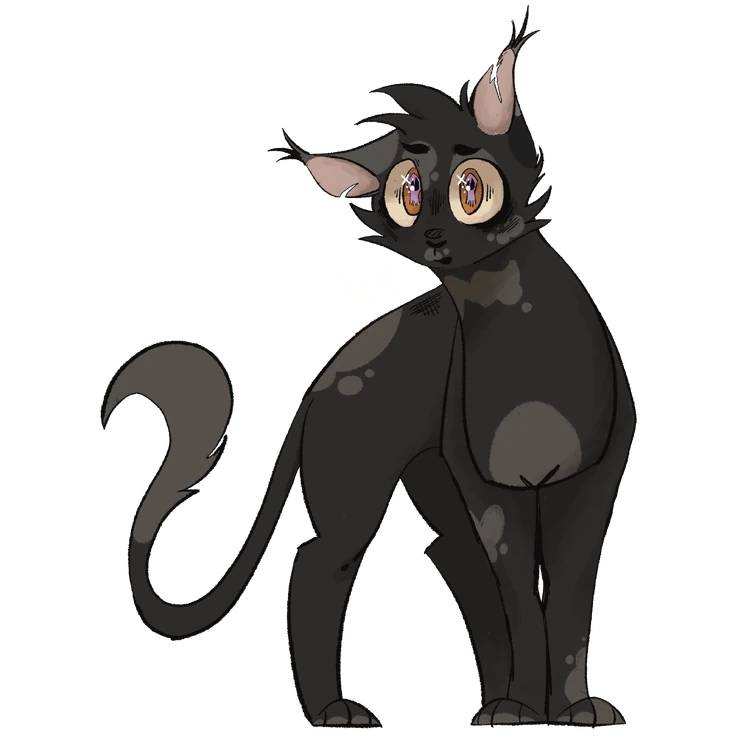 Nightpaw | HiveMind Wiki | Fandom