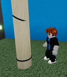 Neature Walk | Hmmm.... Roblox Wiki | Fandom