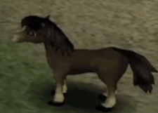Horse (AWL) | The Harvest Moon Wiki | Fandom
