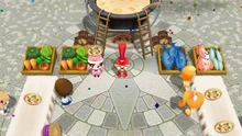 Festivals (SoSFoMT) | The Harvest Moon Wiki | Fandom