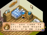 Category:HM64 Characters | The Harvest Moon Wiki | Fandom