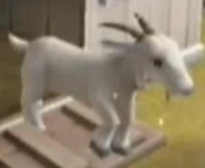 Goat (ToT) | The Harvest Moon Wiki | Fandom