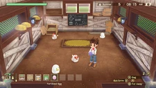Chicken (SoSAWL) | The Harvest Moon Wiki | Fandom