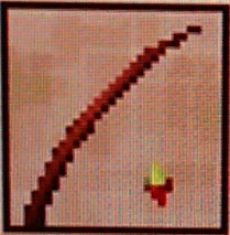 Fishing Rod (BTN) | The Harvest Moon Wiki | Fandom