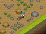 Music Box (HM64) | The Harvest Moon Wiki | Fandom