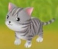 Pets (SoSFoMT) | The Harvest Moon Wiki | Fandom