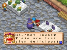 Gourmet (HM64)/Gallery | The Harvest Moon Wiki | Fandom