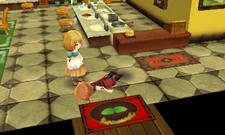 Raeger (SoS)/Gallery | The Harvest Moon Wiki | Fandom