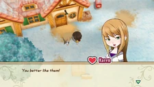 Valentine's Day (SoSFoMT) | The Harvest Moon Wiki | Fandom