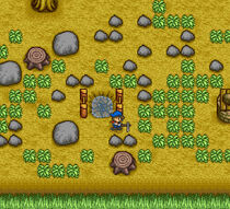 Power Berry (HM) | The Harvest Moon Wiki | Fandom