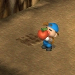 Power Berry (BTN) | The Harvest Moon Wiki | Fandom