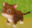 Pets (SoSFoMT) | The Harvest Moon Wiki | Fandom