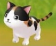 Pets (SoSFoMT) | The Harvest Moon Wiki | Fandom