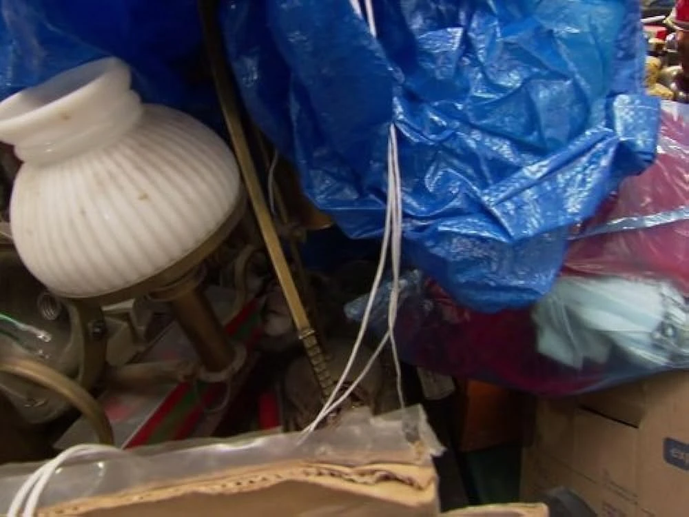 I'm a Rockstar, Baby! | Hoarders Wiki | Fandom