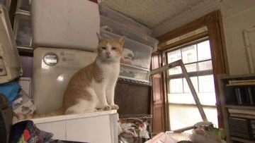 Kevin/Mary | Hoarders Wiki | Fandom