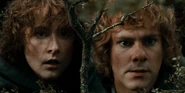 Hobbits | Hobbit LOTR Trilogy Wiki | Fandom