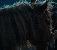 Myrtle | Hobbit Trilogy Wiki | Fandom