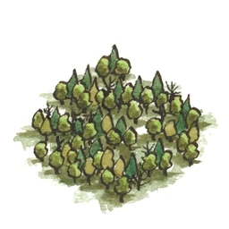 Fangorn Forest | Hobbit Armies Wiki | Fandom