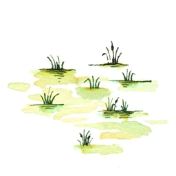 Swamp | Hobbit Armies Wiki | Fandom