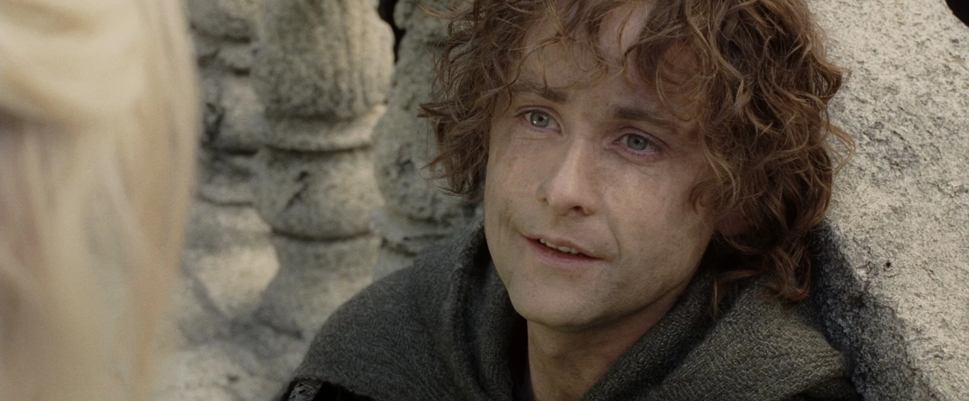 Pippin Took | Middle-Earth Films Wiki | Fandom