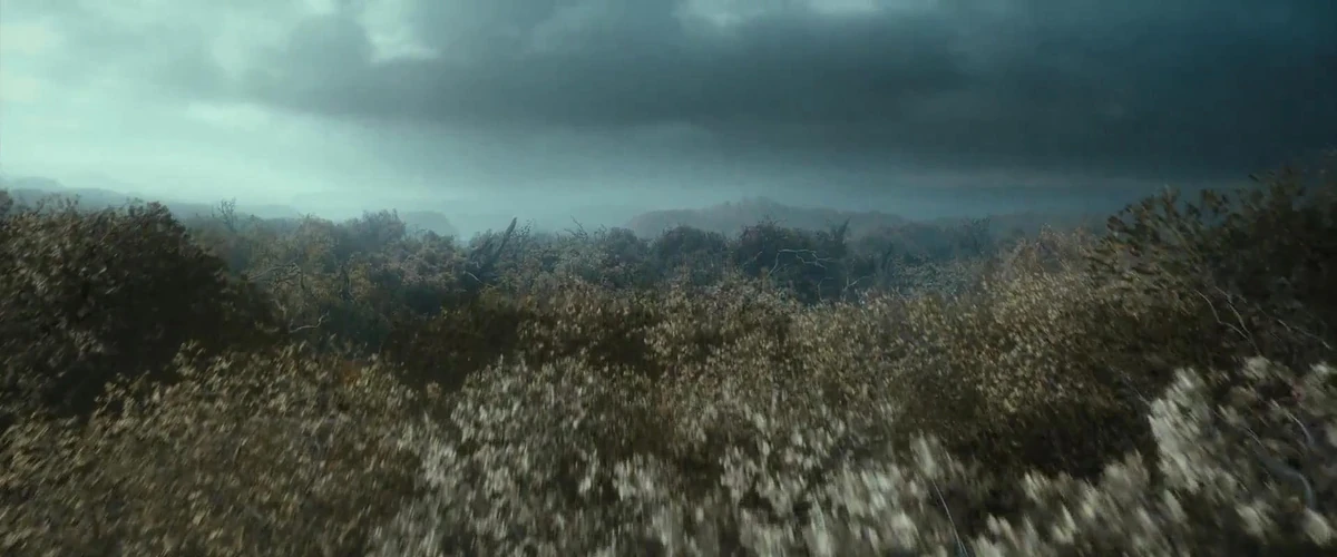 Mirkwood | Middle-Earth Films Wiki | Fandom