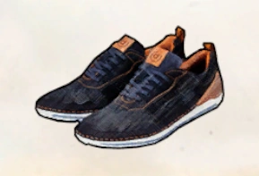 Skate shoes | HoboRPG Wiki | Fandom