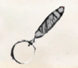 Laser Pointer | HoboRPG Wiki | Fandom