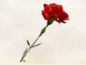 Carnation for Monty | HoboRPG Wiki | Fandom