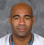 Donald Brashear | The Hockey Fight Project | Fandom