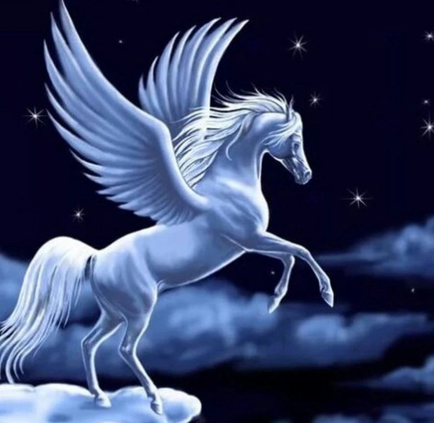 Pegaz | Harry Potter Fanon Wiki | Fandom