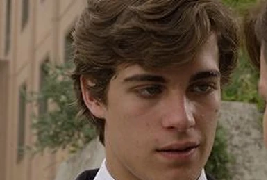 Theodore Nott Harry Potter Wand The Most Interesting Details In Harry