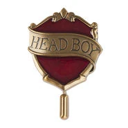 Head Boy and Girls | Hogwarts Life Wiki | Fandom
