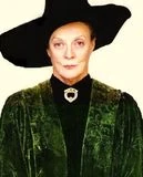 Gryffindor | Hogwarts Life Wiki | Fandom
