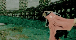 Chaser | Hogwarts Life Wiki | Fandom