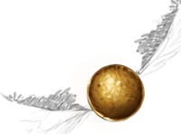 Golden Snitch | Hogwarts Life Wiki | Fandom