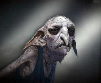 Kreacher | Hogwarts Life Wiki | Fandom