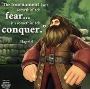 Rubeus Hagrid | Hogwarts Mystery Wiki | Fandom