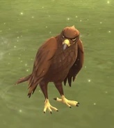 Talbott Winger | Hogwarts Mystery Wiki | Fandom