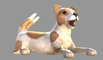 Crup | Hogwarts Mystery Wiki | Fandom