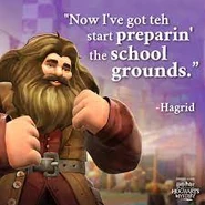 Rubeus Hagrid | Hogwarts Mystery Wiki | Fandom