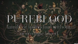 Pure-blood | Hogwarts Mystery Wiki | Fandom
