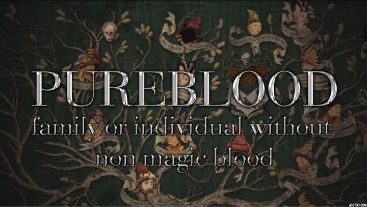 Pure-blood | Hogwarts Mystery Wiki | Fandom