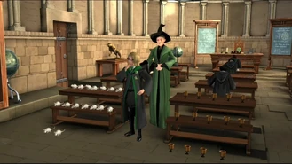 Transfiguration | Hogwarts Mystery Wiki | Fandom