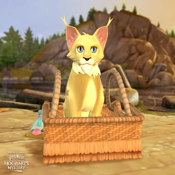 Kneazle | Hogwarts Mystery Wiki | Fandom