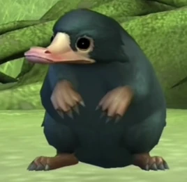 Niffler | Hogwarts Mystery Wiki | Fandom