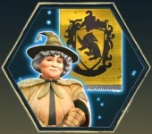 Die Feier von Hufflepuff | Hogwarts Mystery Wiki | Fandom