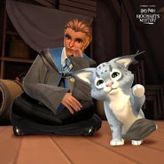 Kneazle | Hogwarts Mystery Wiki | Fandom